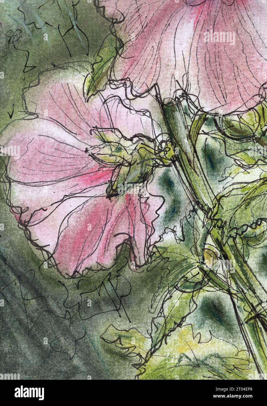 Fantasy ink and pastel illustration of pink hollyhocks Stock Photo - Alamy
