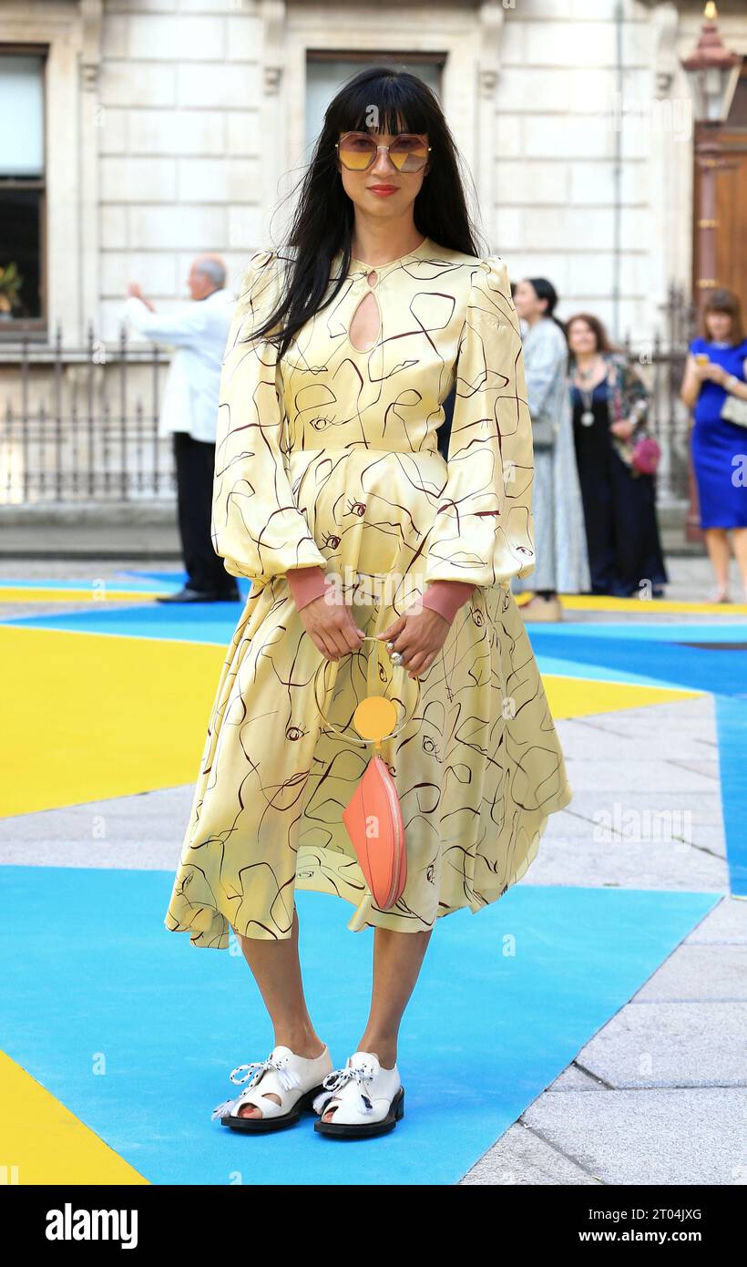 Mimi Xu attends the Royal Academy Of Arts summer exhibition preview ...