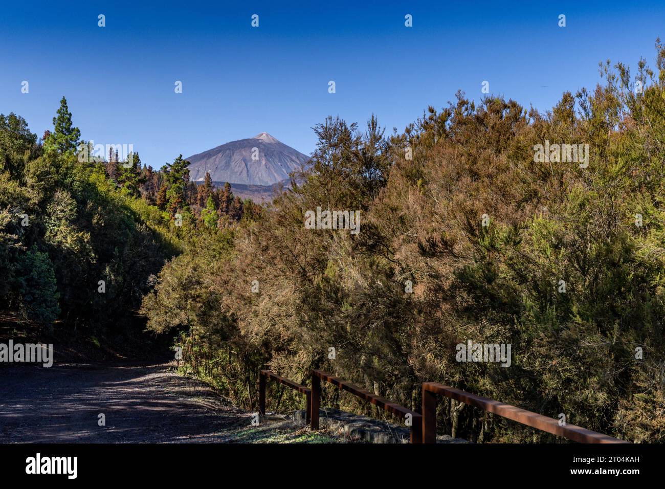 Beautiful landscape of the famous Pico del Teide mountain volcano in ...