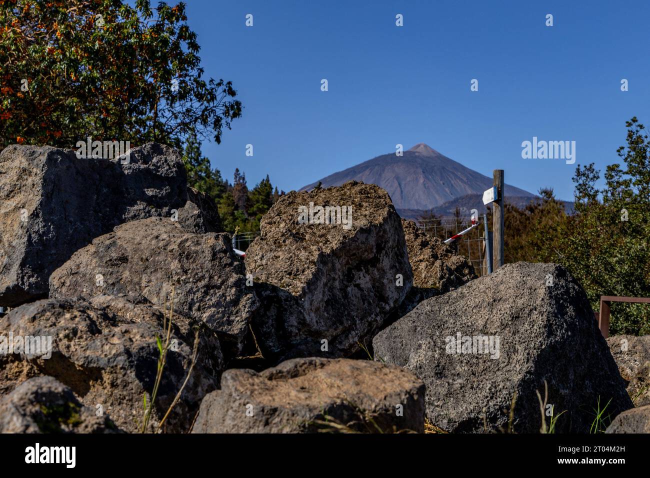 Beautiful landscape of the famous Pico del Teide mountain volcano in ...