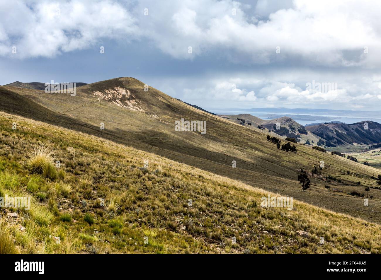 Bolivia Salt Flats and countryside Stock Photo - Alamy