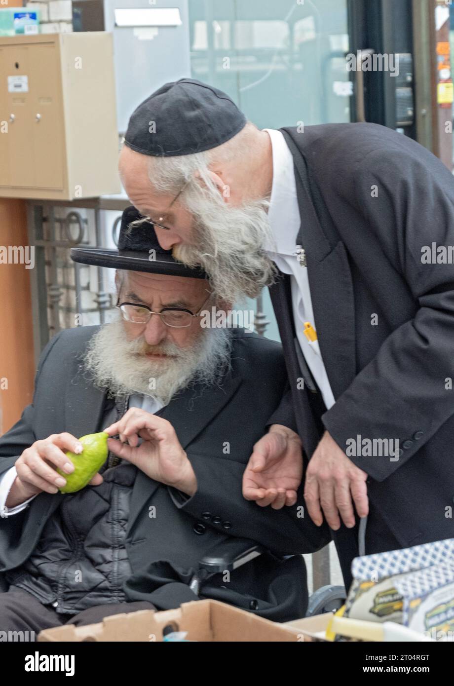 In preparation for Sukkos, an older Jewish man in a wheelchair shops ...