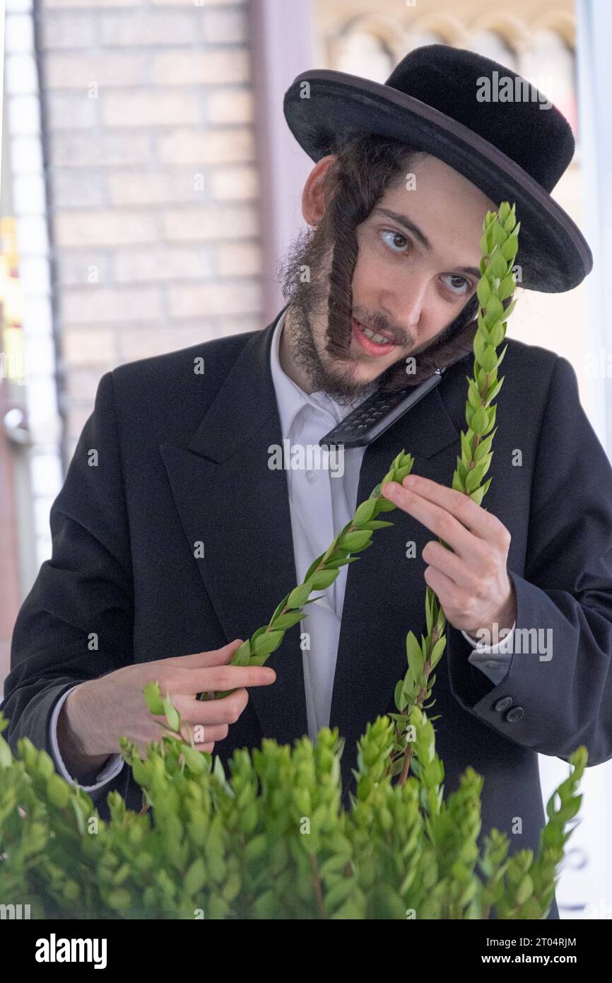 An orthodox Jewish man prepares for Sukkos examining myrtle branches ...