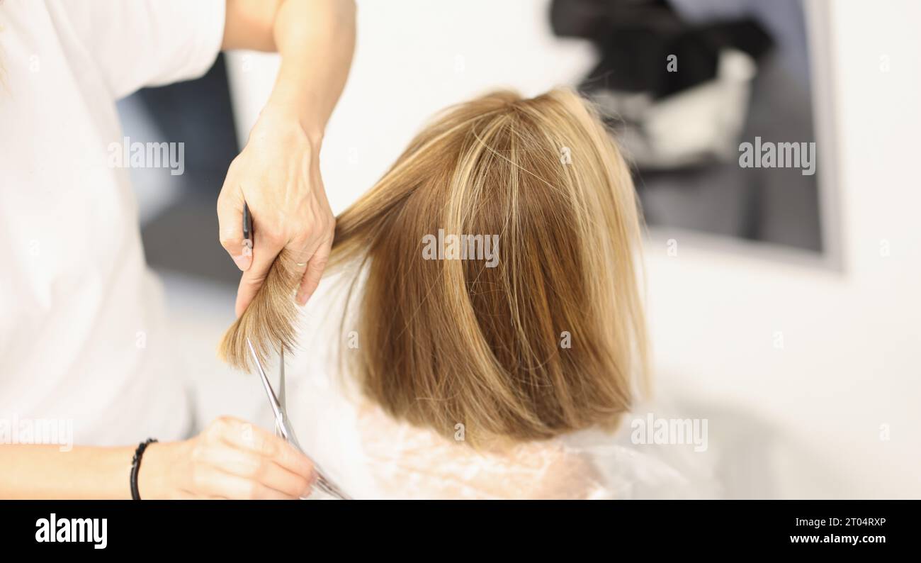 Woman hairdresser cuts hair scissors hi-res stock photography and ...