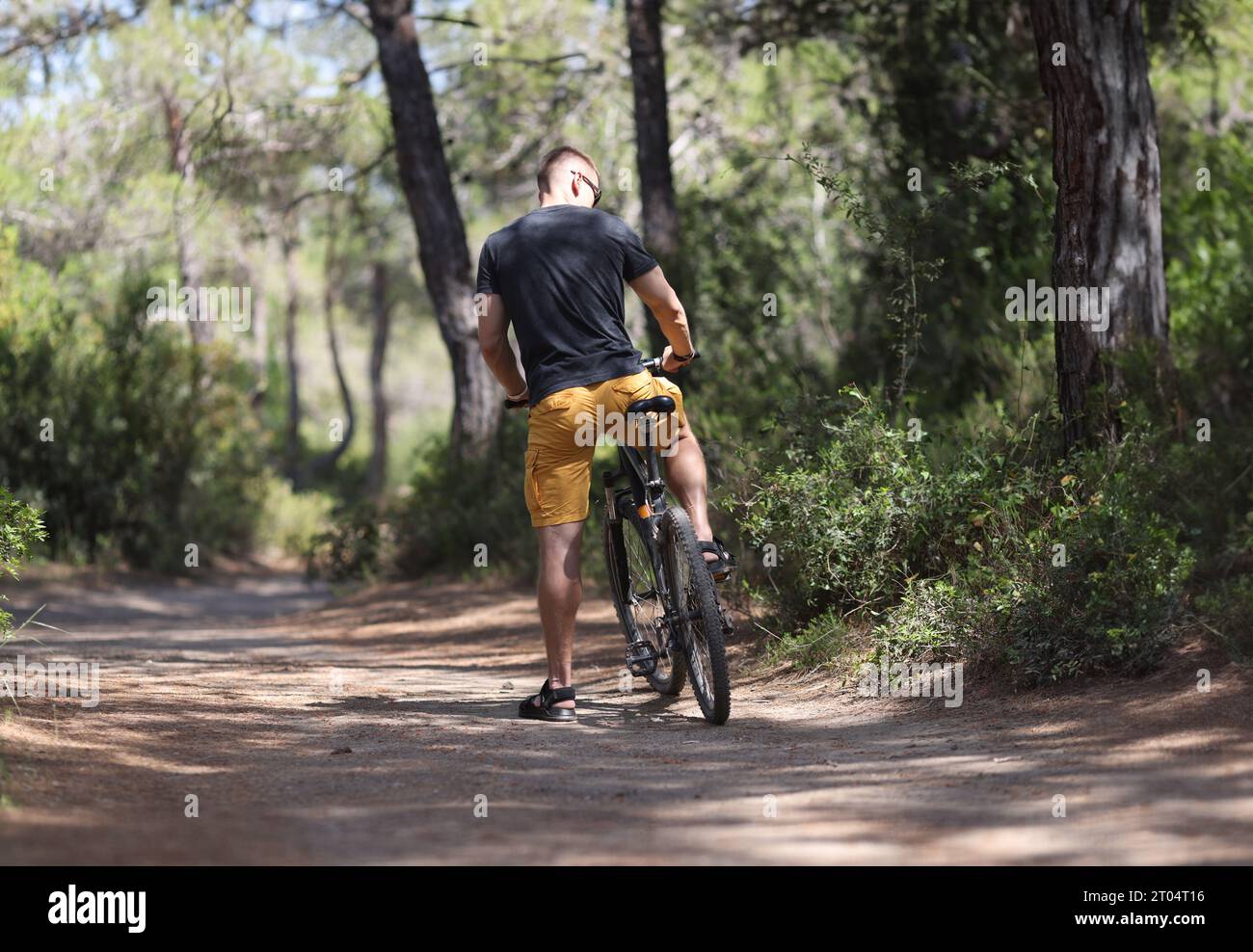 Ambitious man cyclist on forest path to sit on bicycle alone Stock ...