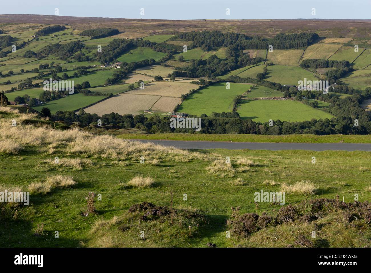 Rosedale Abbey viewed from Bank Top, North Yorkshire Moors, England, UK ...