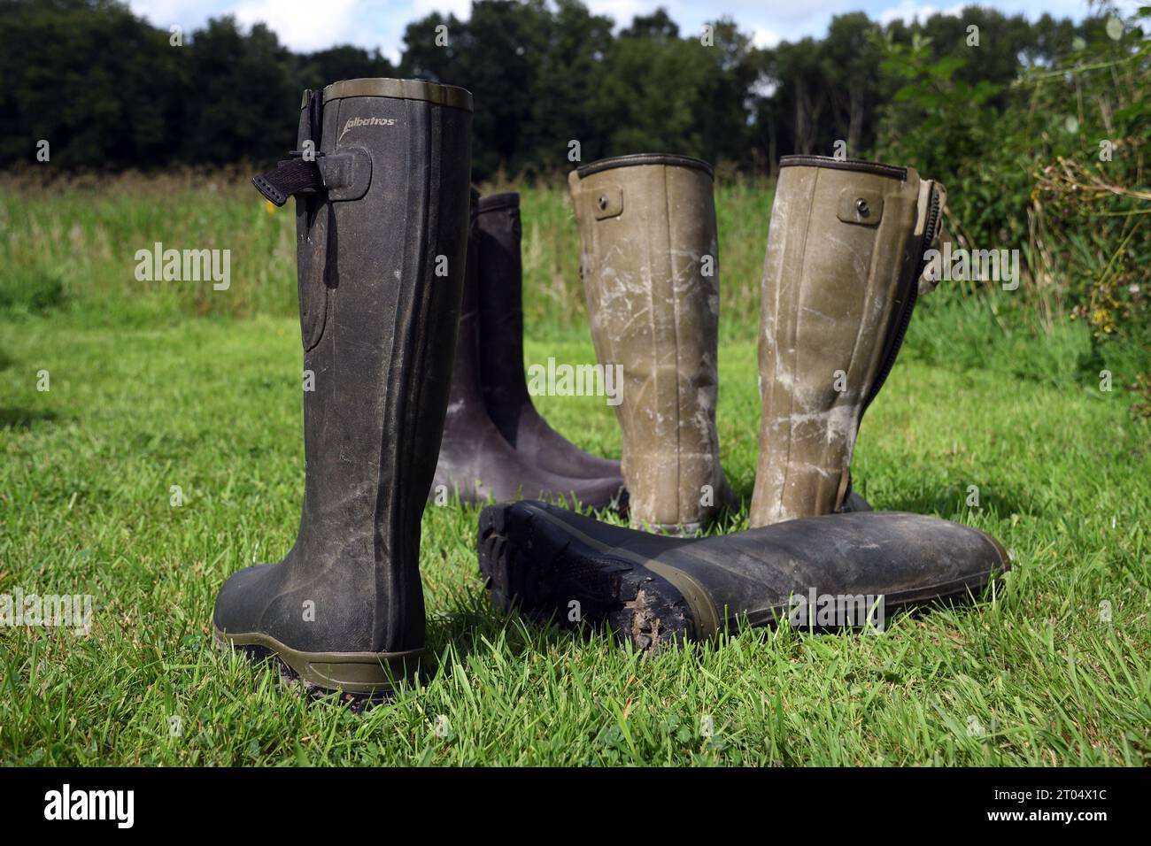 rubber boots on a meadow, Germany Stock Photo - Alamy