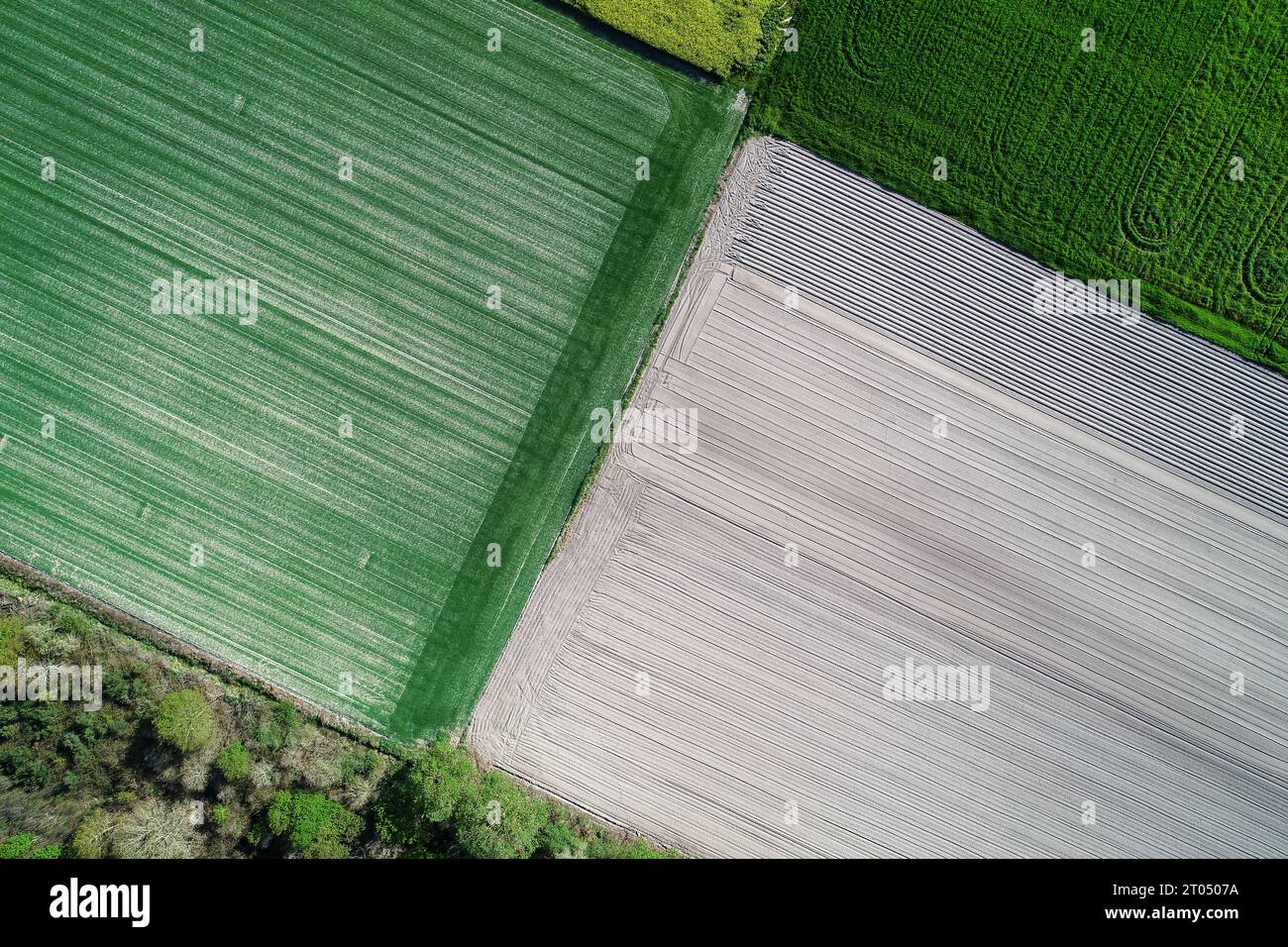 aerial view of crop fields in springtime Stock Photo - Alamy