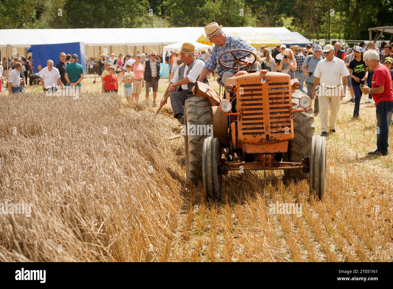 Mowing the wheat field, harvesting the old-fashioned way at Sacey ...