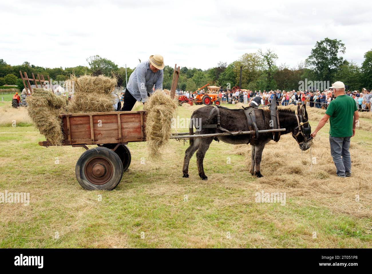 Old cart pulled by a donkey, bales of hay, harvesting the old-fashioned ...
