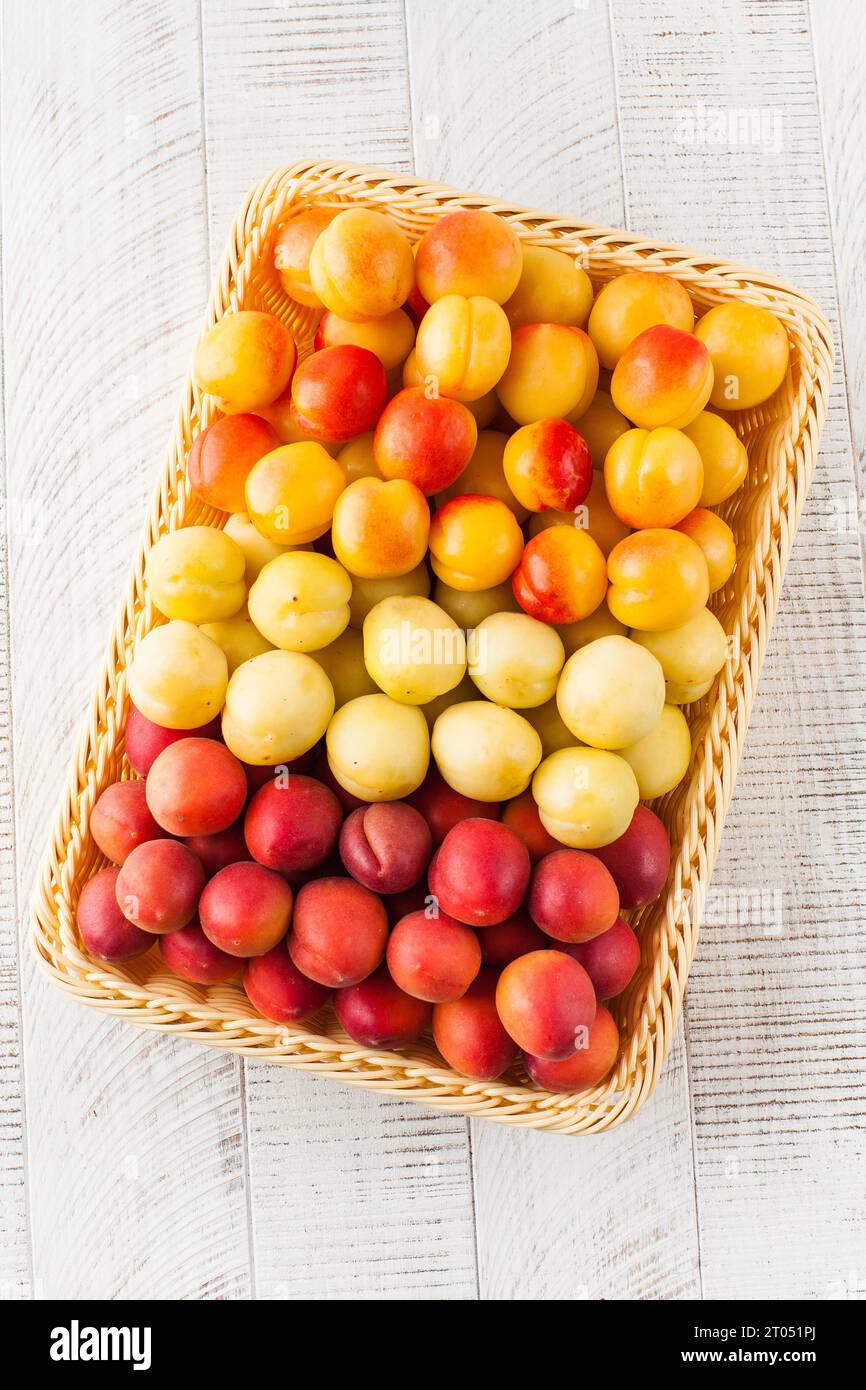 Assorted different types of apricots in a basket. Stone fruits ...