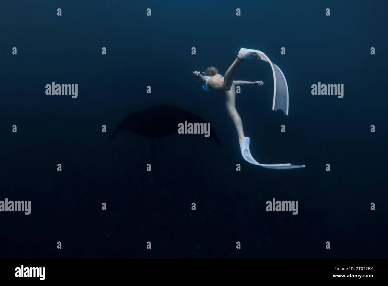 Woman swims underwater with manta ray. Freediving with manta rays on ...