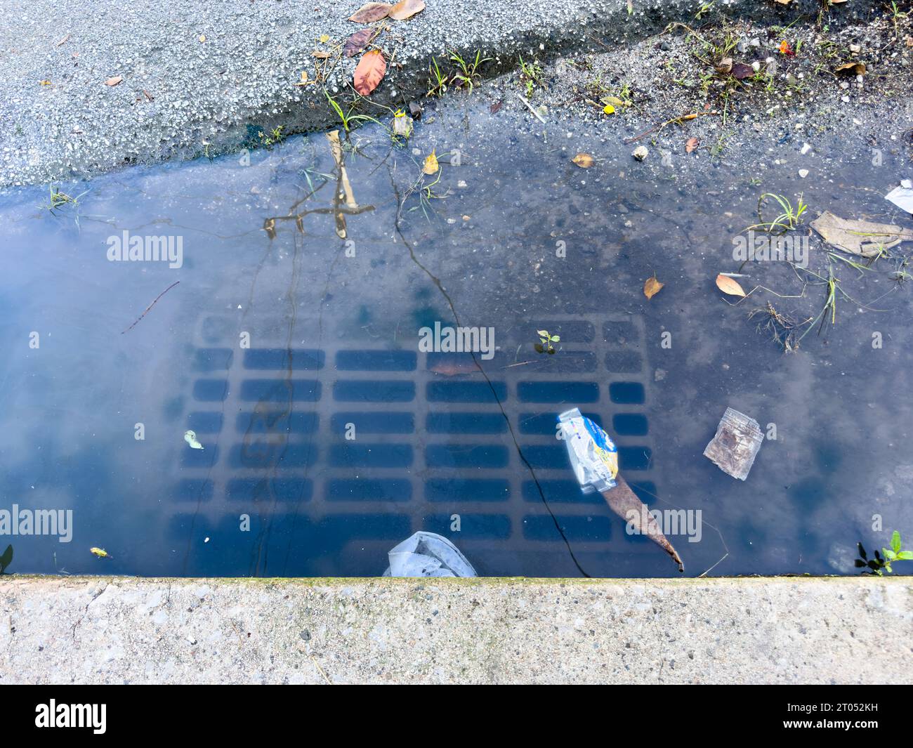 Clogged sewage drain in a city street. The scene is common in urban ...