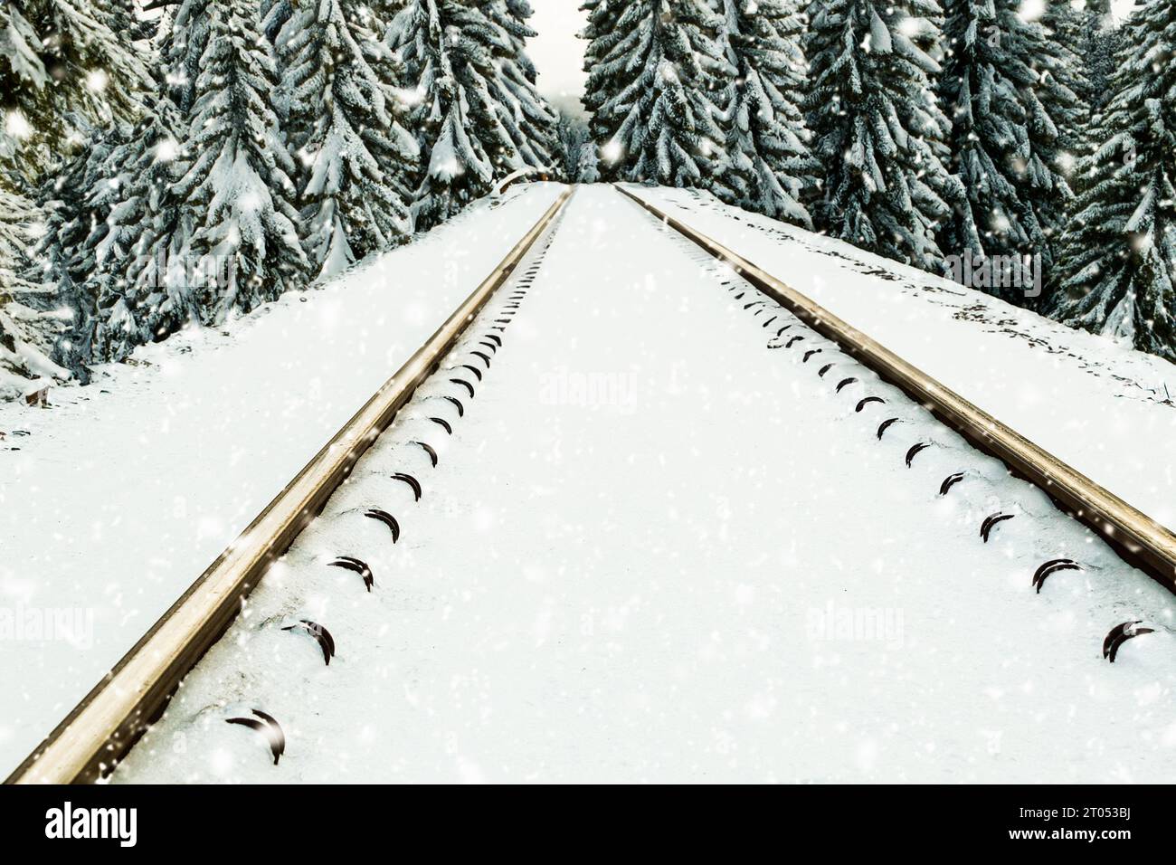 Railway in winter. Winter railway in the forest. Railway in the snow ...