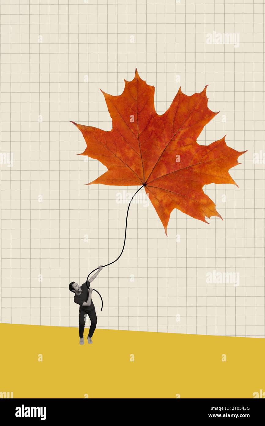 Vertical composite creative visual photo collage of excited man hold big maple leaf fluttering ...