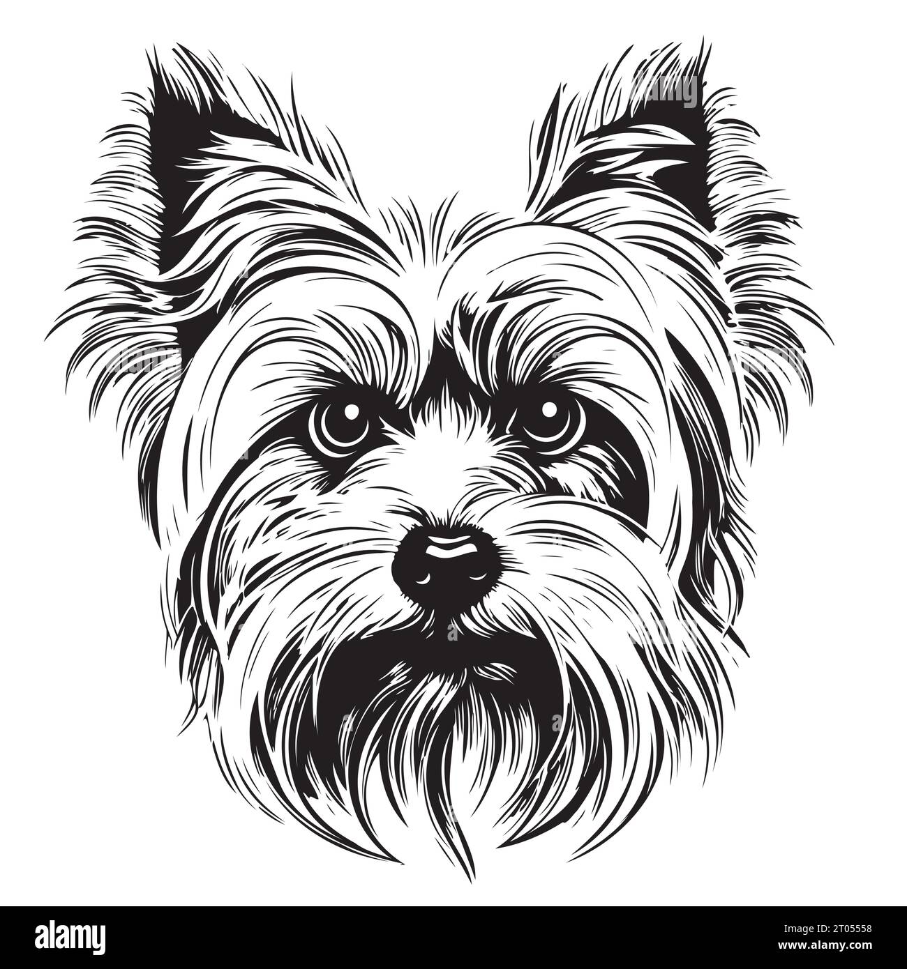 Silverback Yorkshire Terrier
