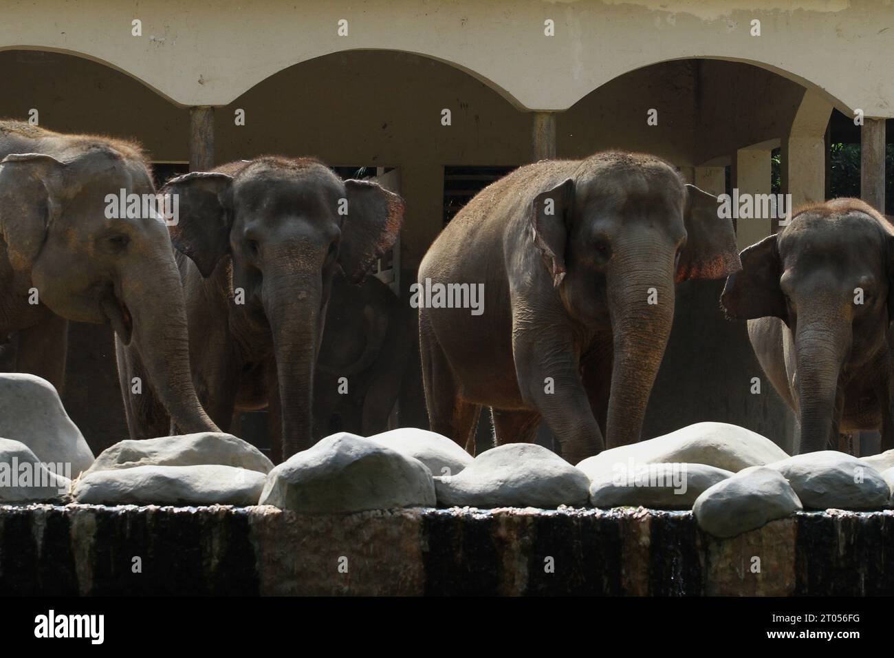 Yogyakarta, Indonesia. October 4, 2023, Yogyakarta, Special Region of ...