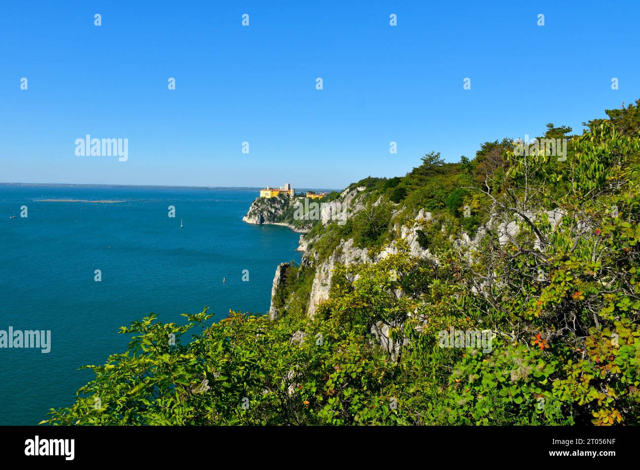 Mediterranean vegetation at cliffs of Duino and Duino castle in Duino ...
