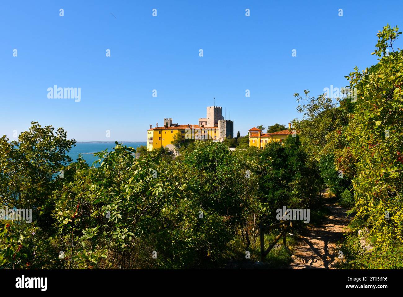Trail leading through a mediterranean forest and Duino castle behind in ...