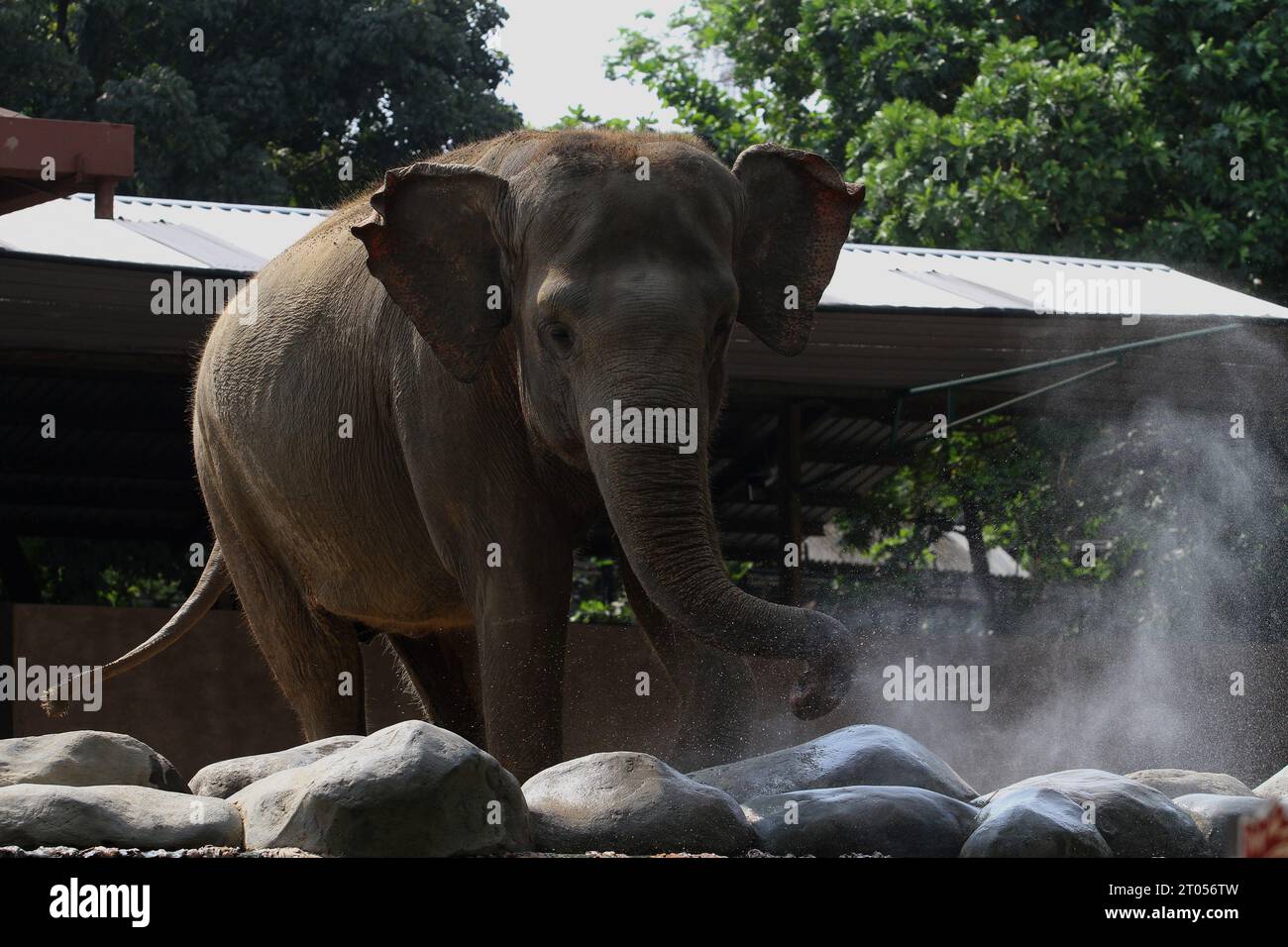 Yogyakarta, Indonesia. October 4, 2023, Yogyakarta, Special Region of ...