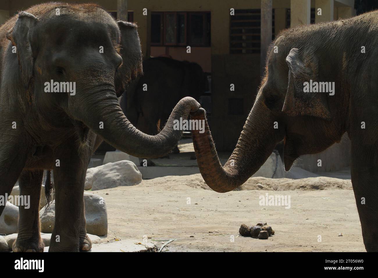 Yogyakarta, Indonesia. October 4, 2023, Yogyakarta, Special Region of ...