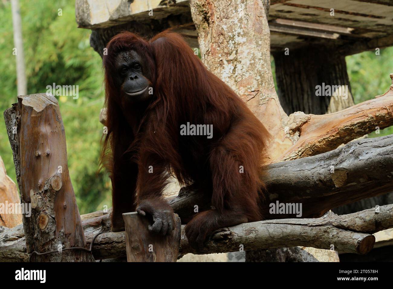 Yogyakarta, Indonesia. October 4, 2023, Yogyakarta, Special Region of ...