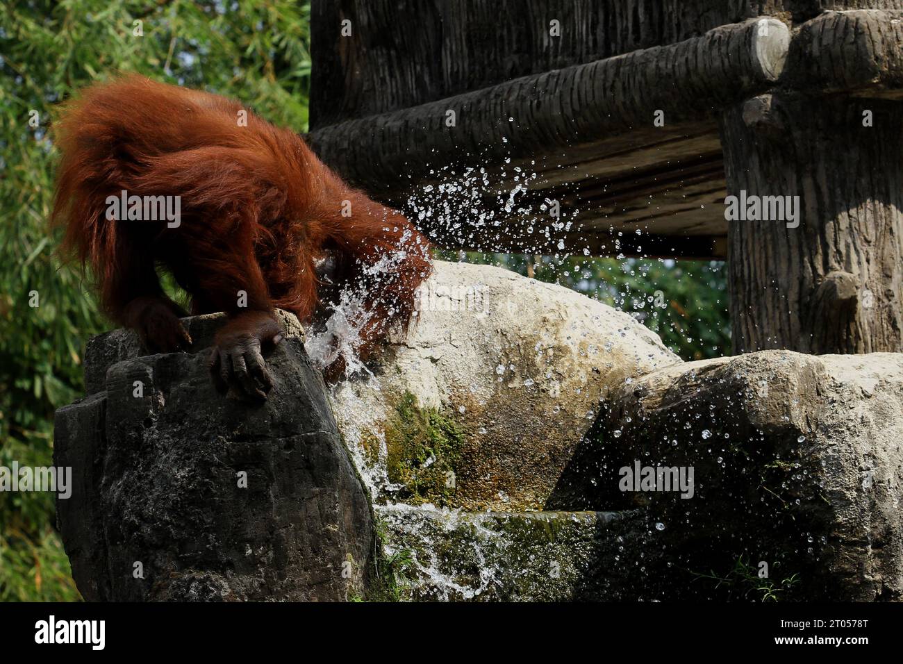 Yogyakarta, Indonesia. October 4, 2023, Yogyakarta, Special Region of ...