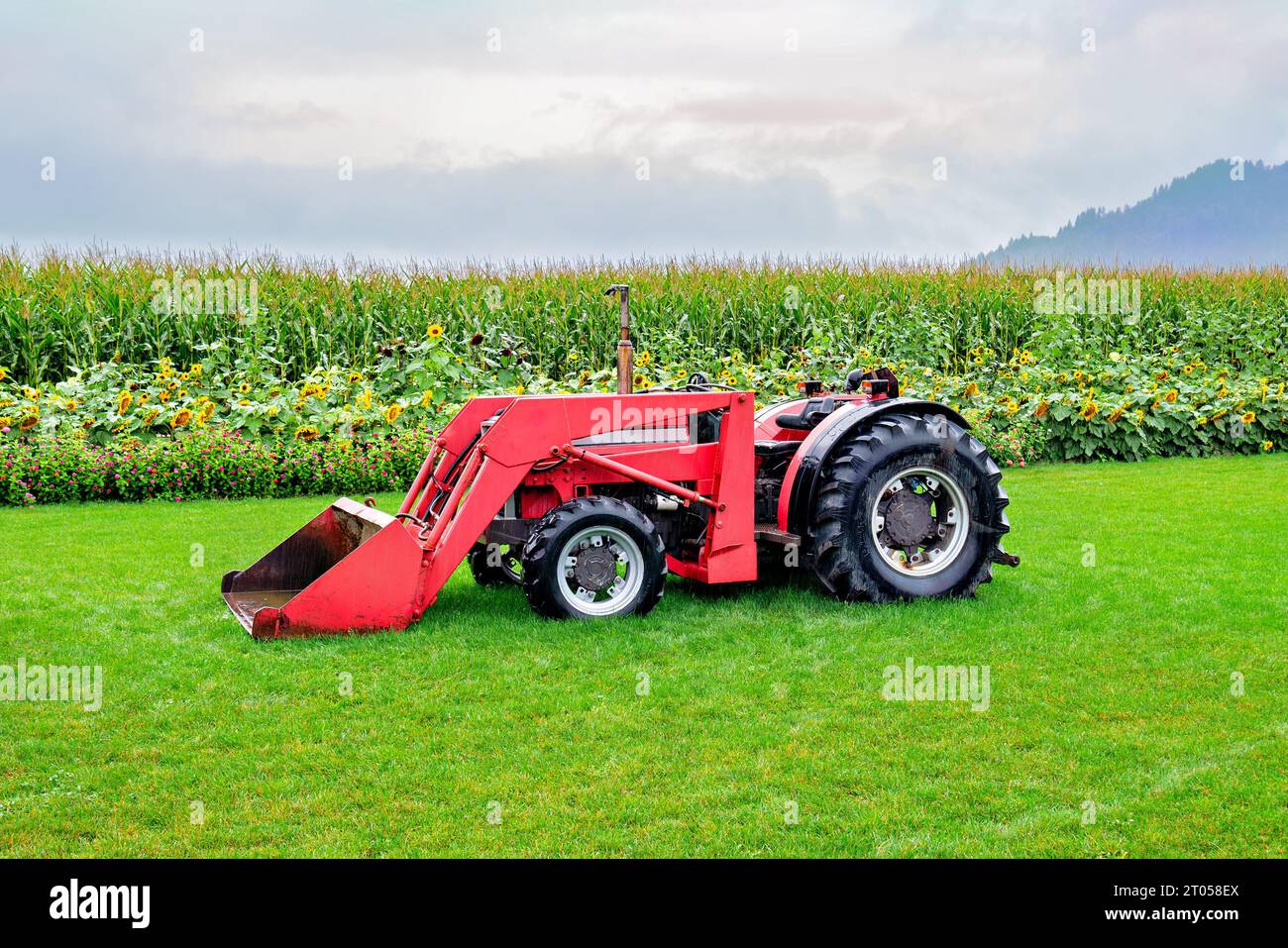 Red tractor with front loading bucket under the rain on green lawn ...