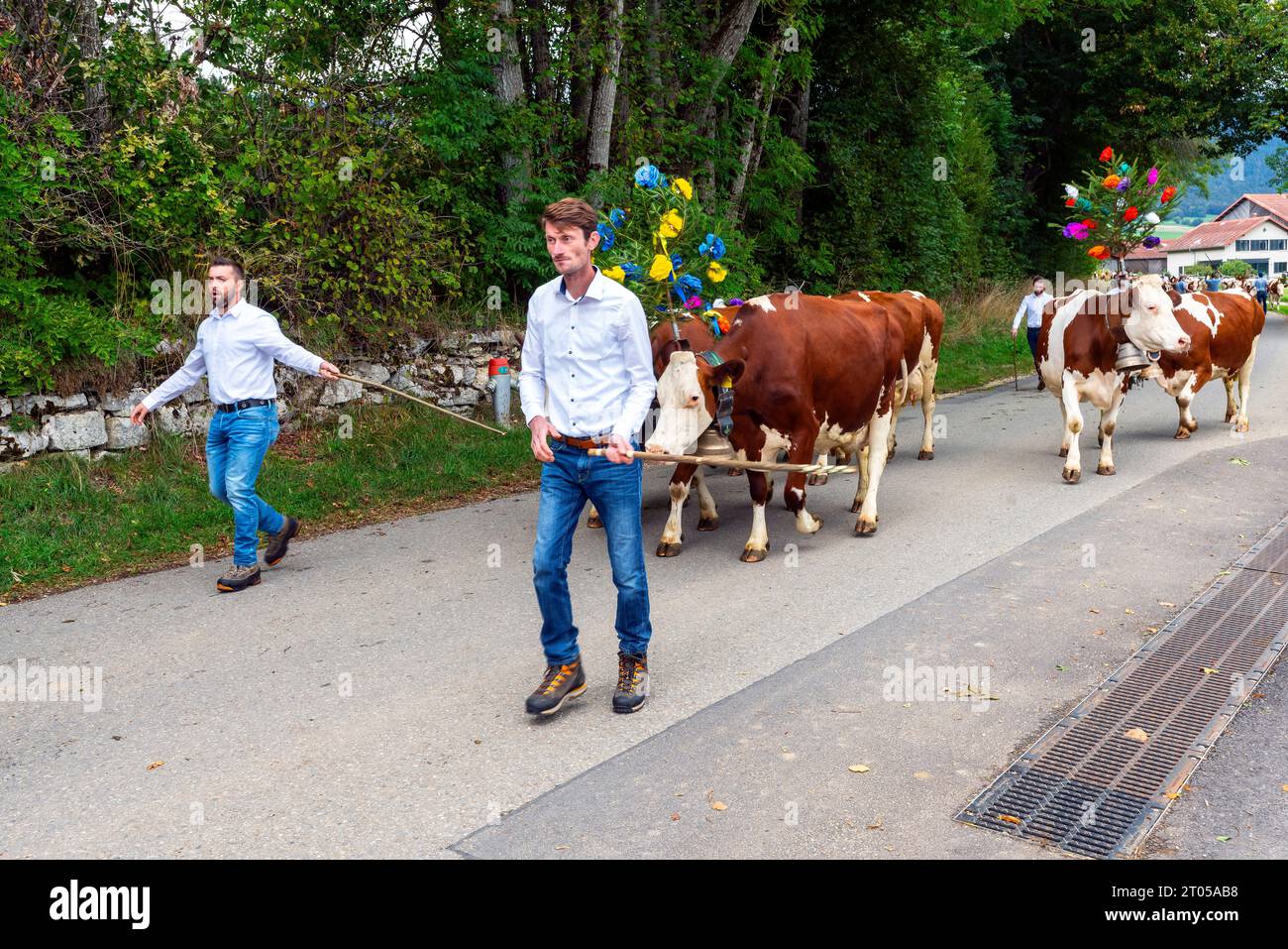Villagers dressed in traditional costumes proudly take part in the ...