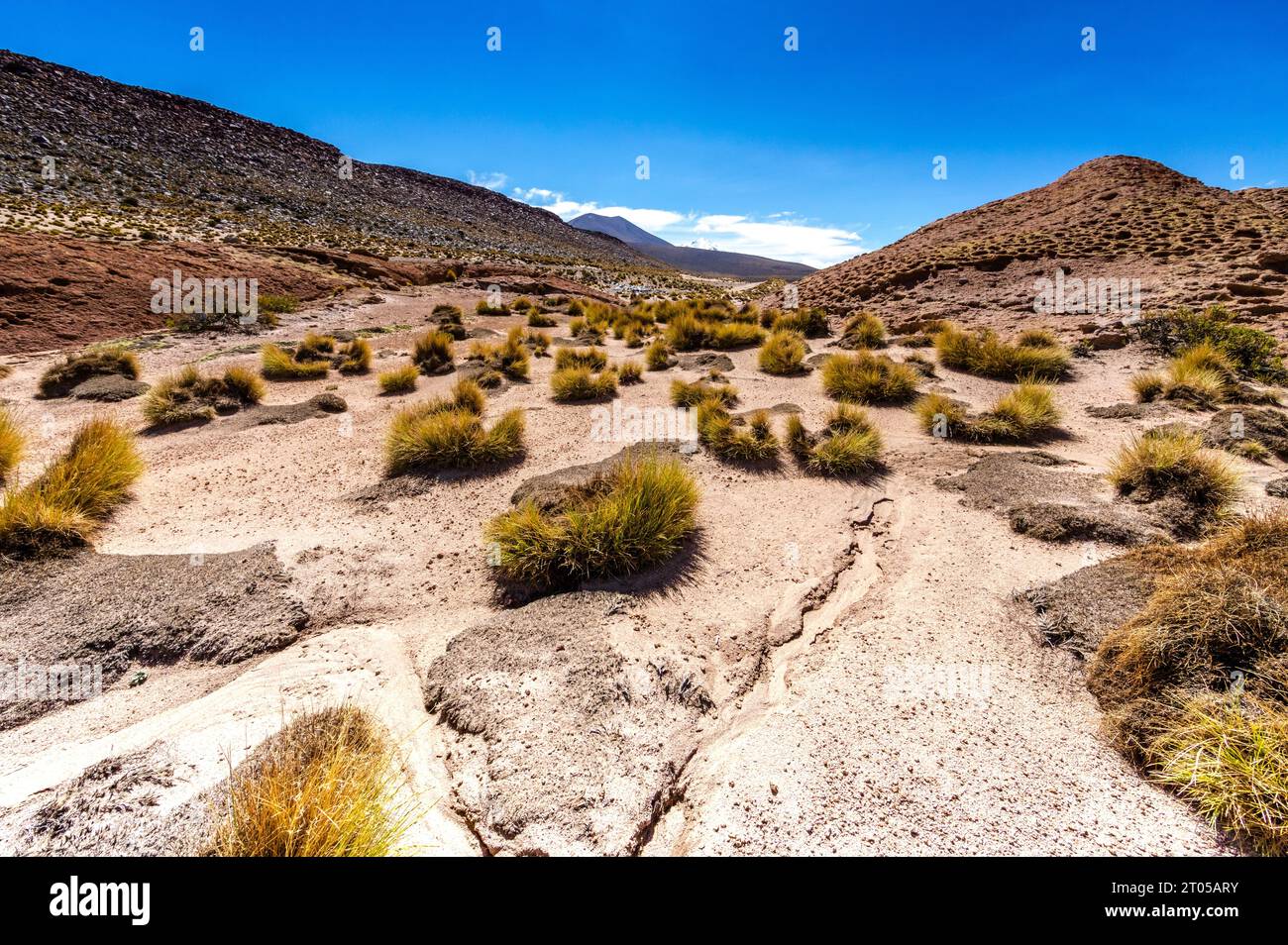 Bolivia Salt Flats and countryside Stock Photo - Alamy