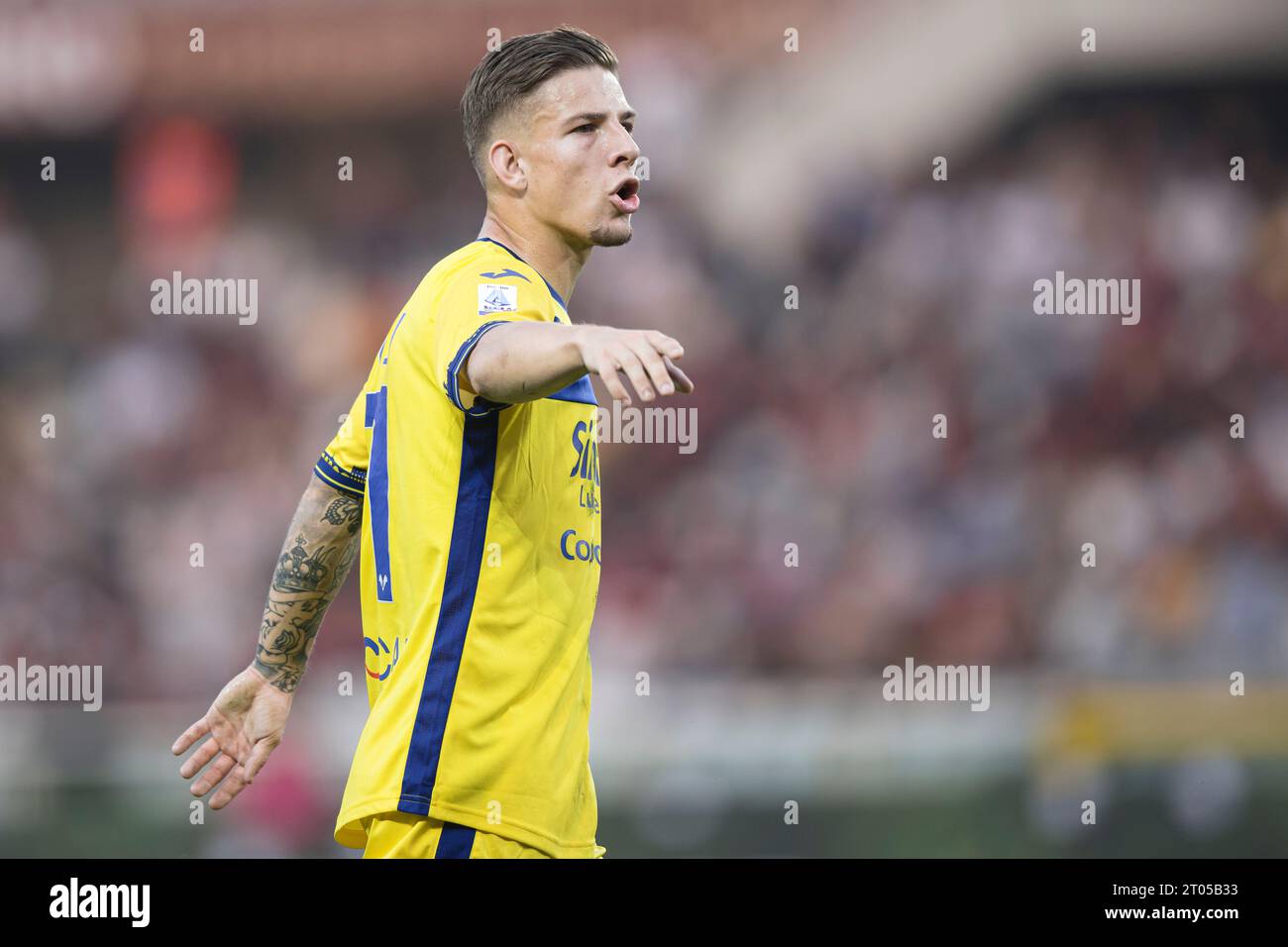 Suslov hi-res stock photography and images - Alamy