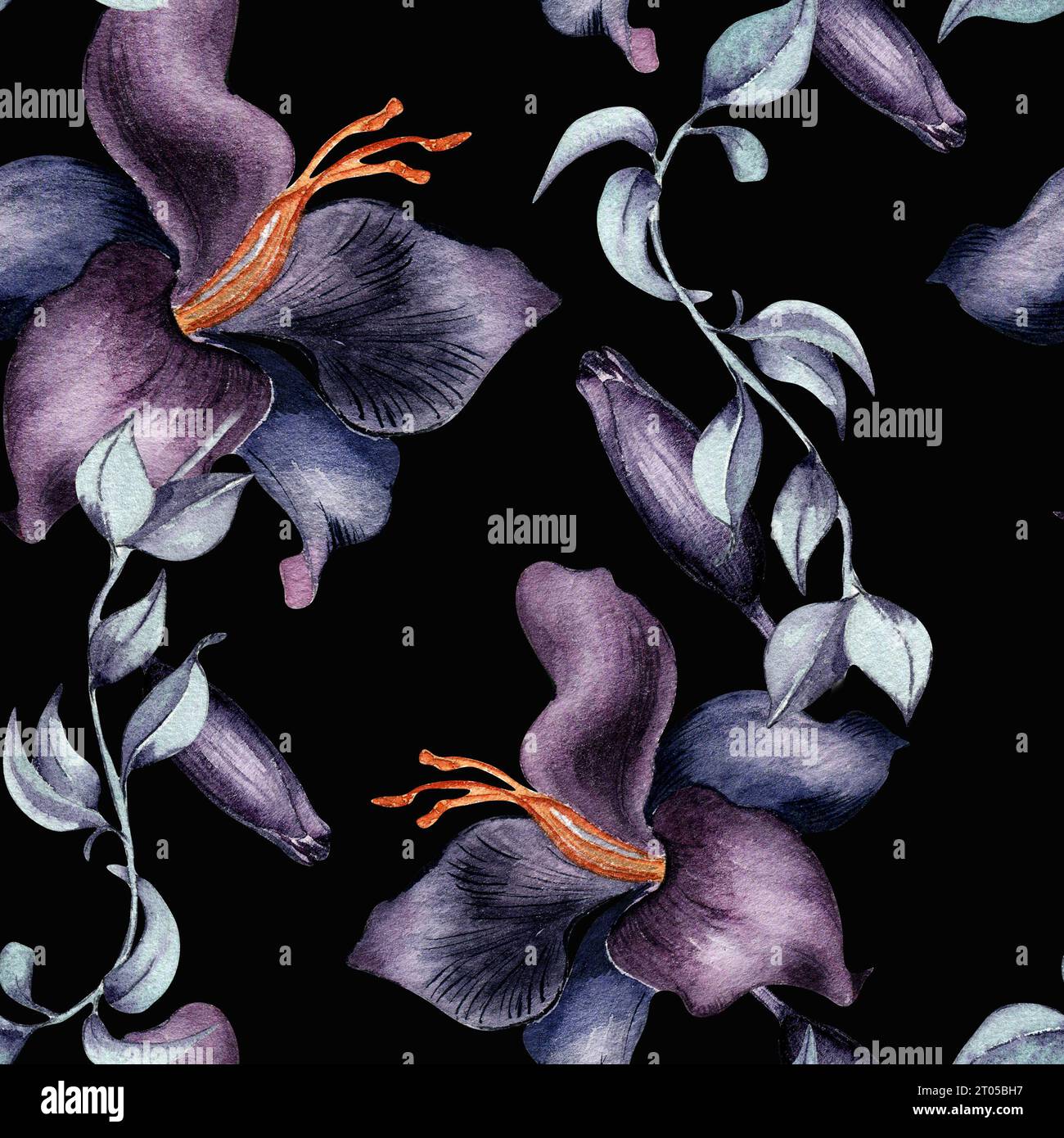 Watercolor pattern of dark purple lily flower isolated on black. Gothic ...
