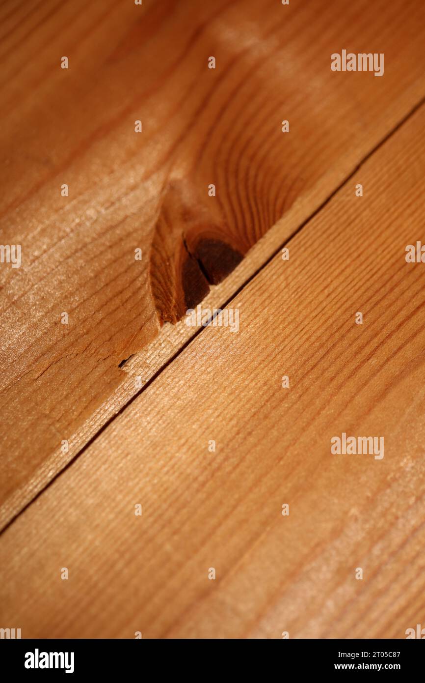 Woods seeing eyes macro close abstract texture plate of pine wood with ...