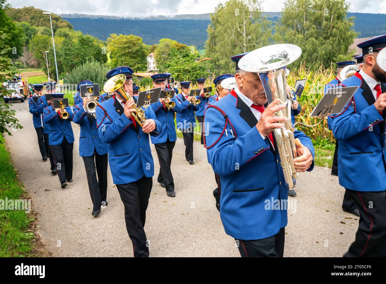 Cows dressed in their best party costumes proudly descend from the ...