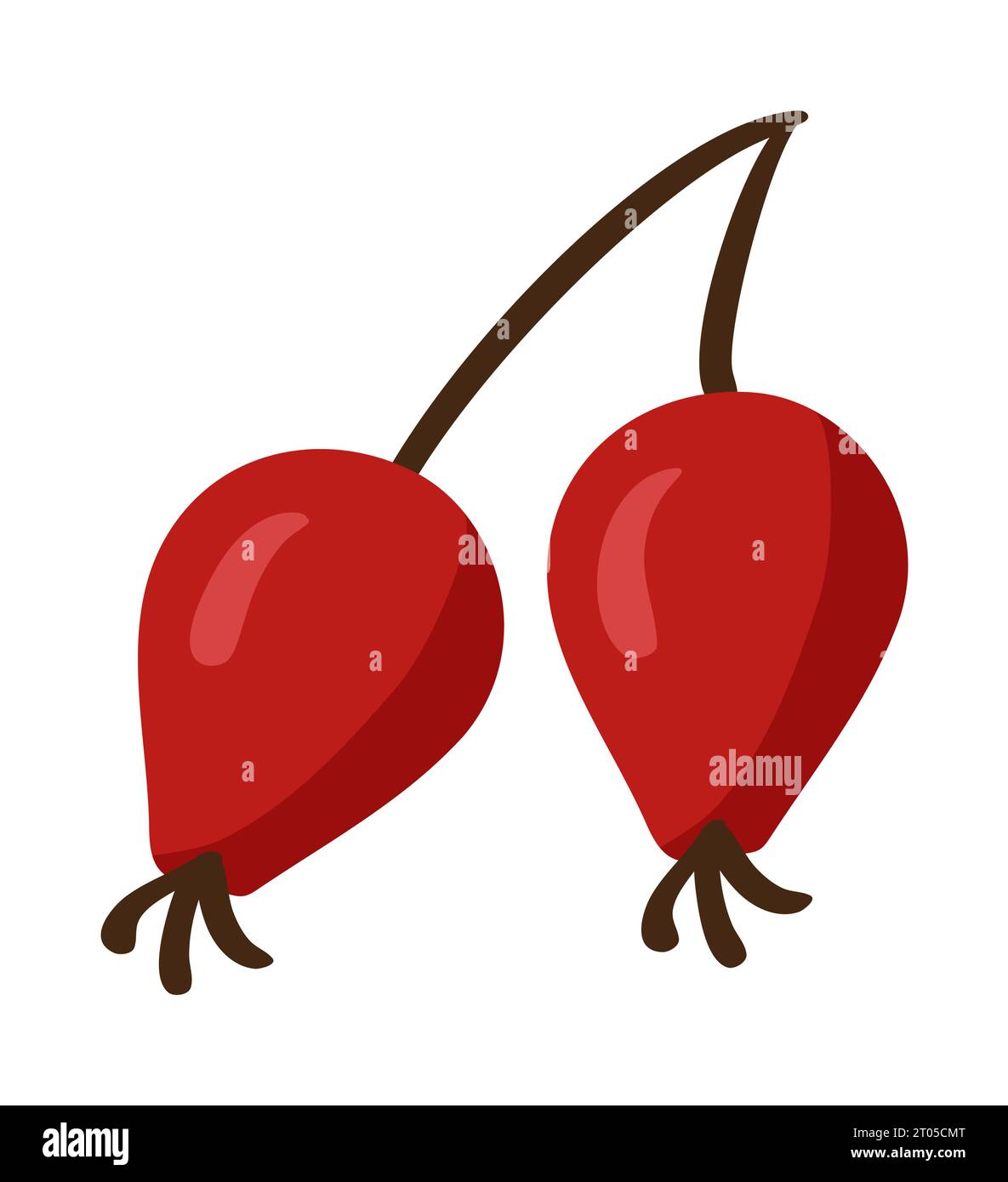 Rose hip juice Stock Vector Images - Alamy