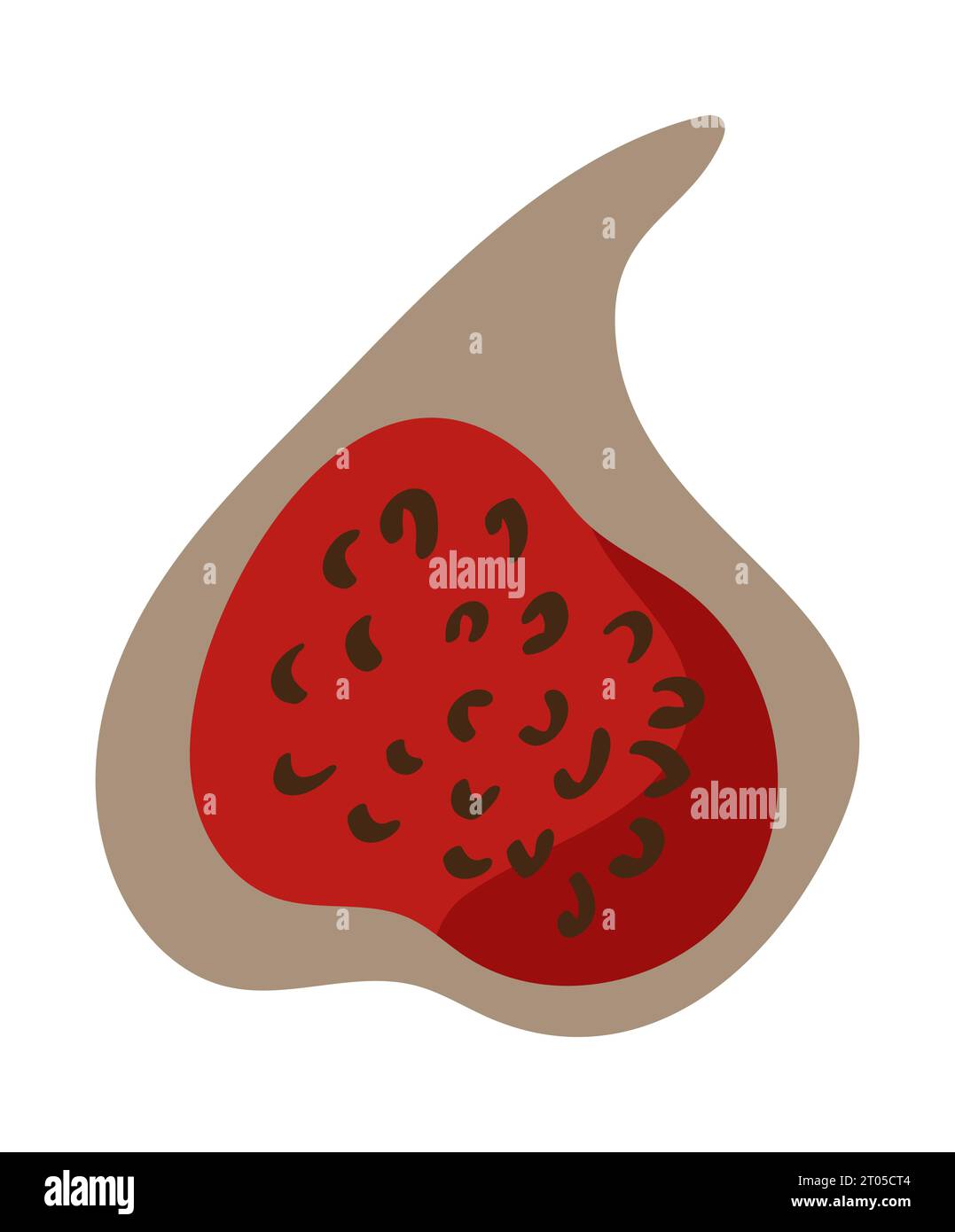 Half fig in hand Stock Vector Images - Alamy
