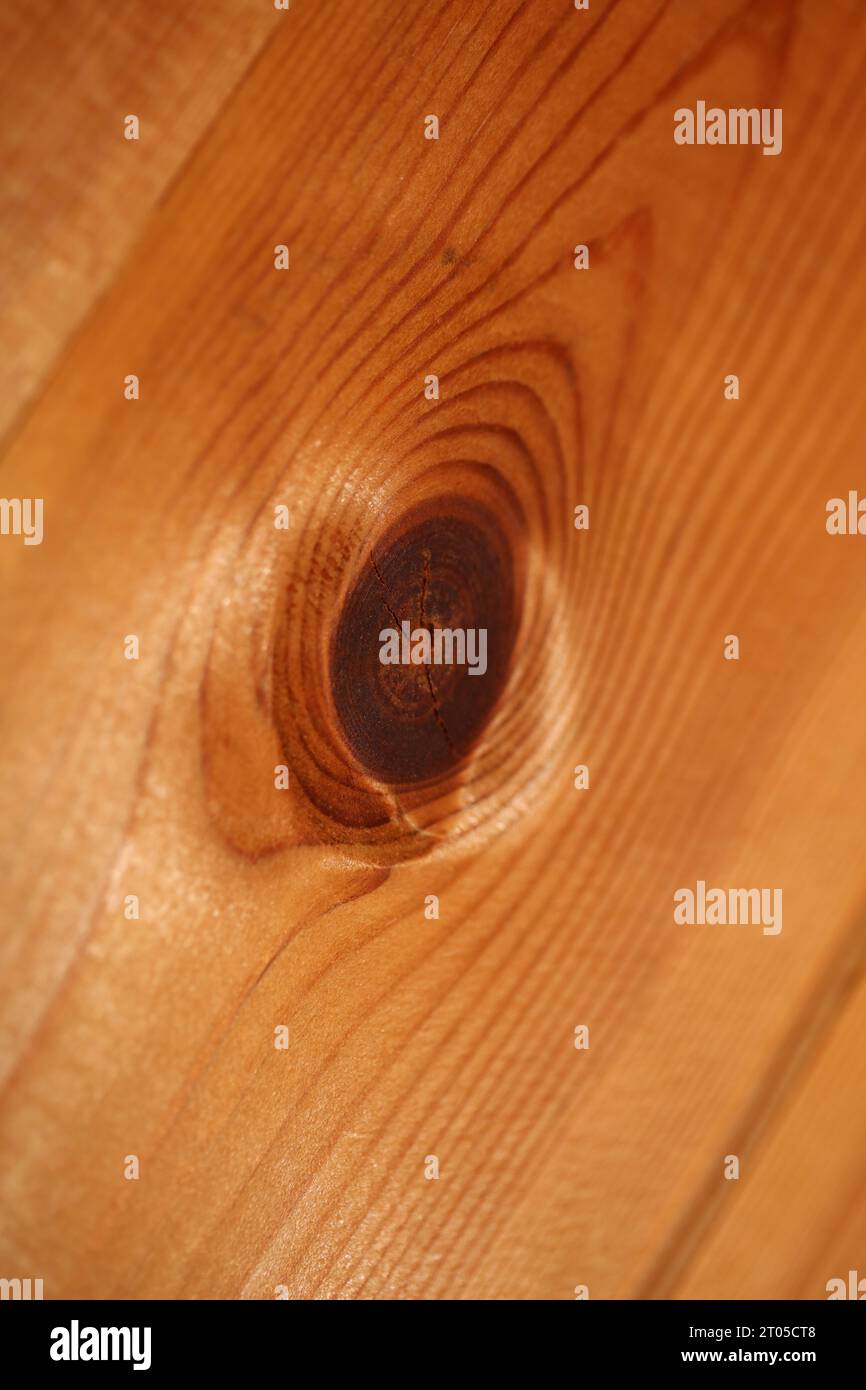 Woods seeing eyes macro close abstract texture plate of pine wood with ...