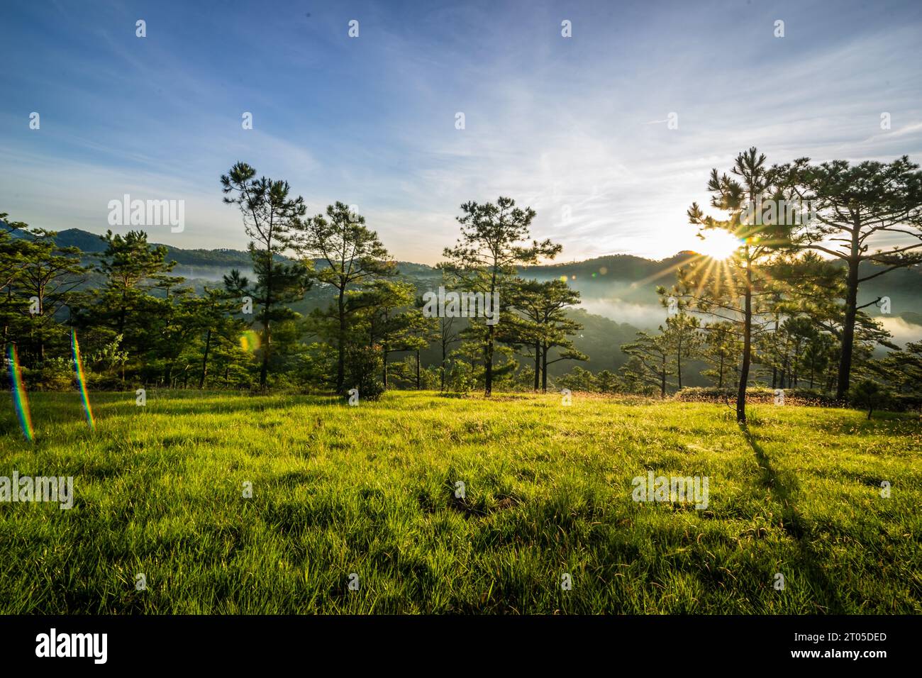 Beautiful morning scenery in Lam Dong Vietnam, beautiful landscapes ...