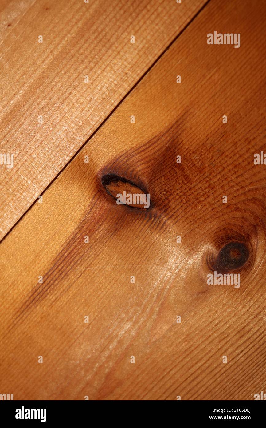 Siz circle hi-res stock photography and images - Alamy