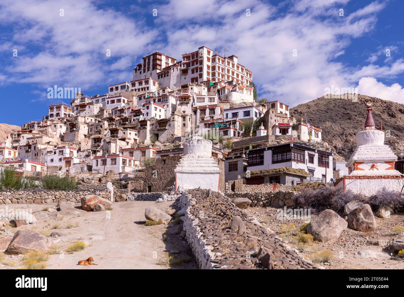Chemrey gompa hi-res stock photography and images - Alamy