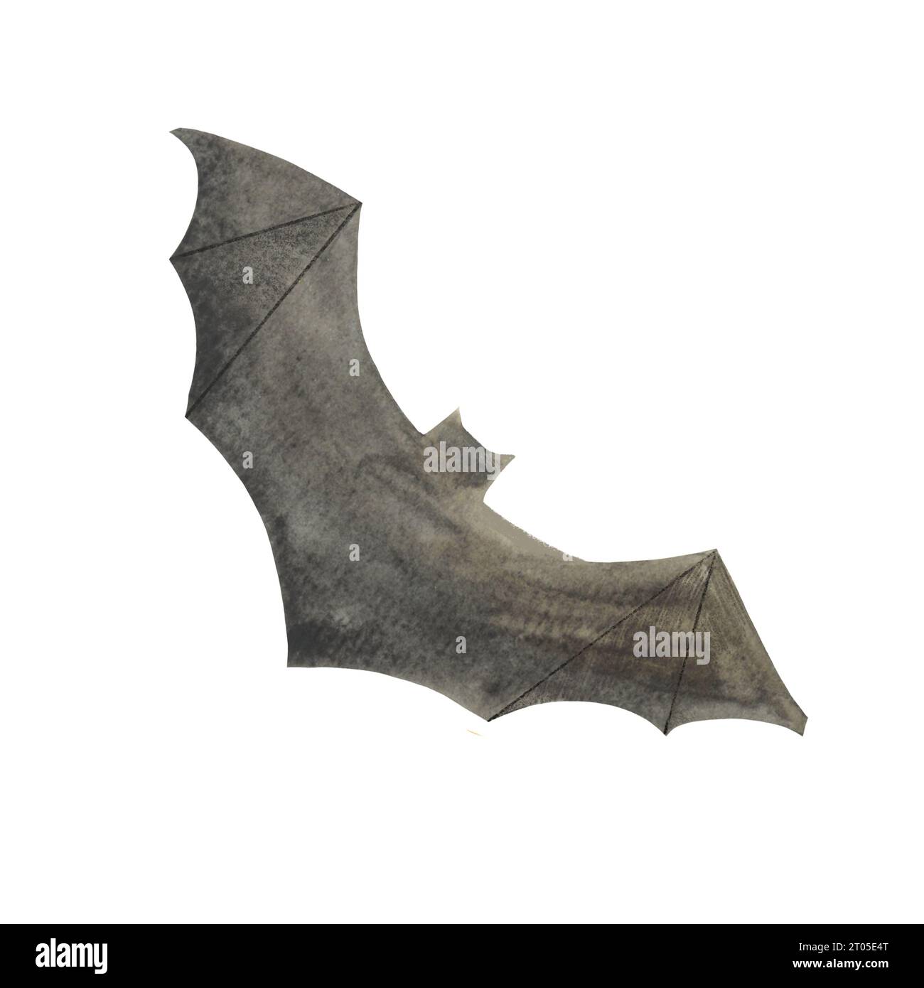 bat painted in watercolor, halloween illustration Stock Photo - Alamy