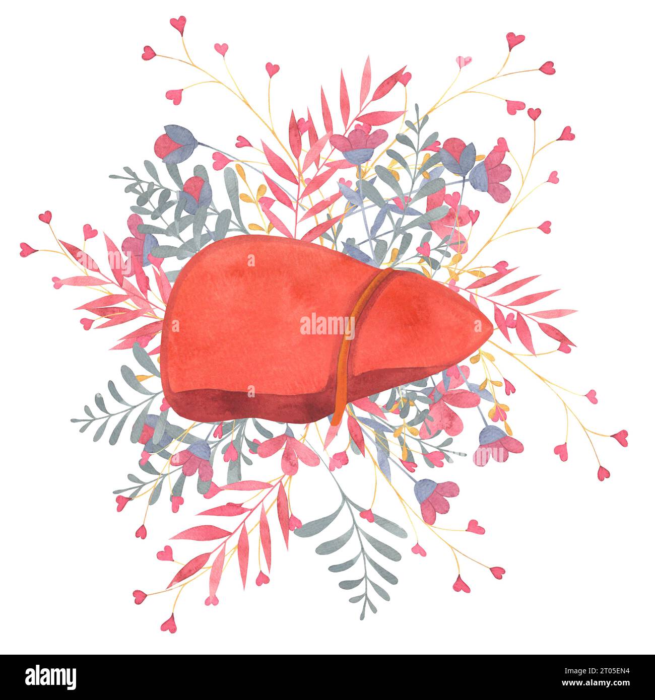 human liver, human internal organs, flowers, twigs, watercolor ...
