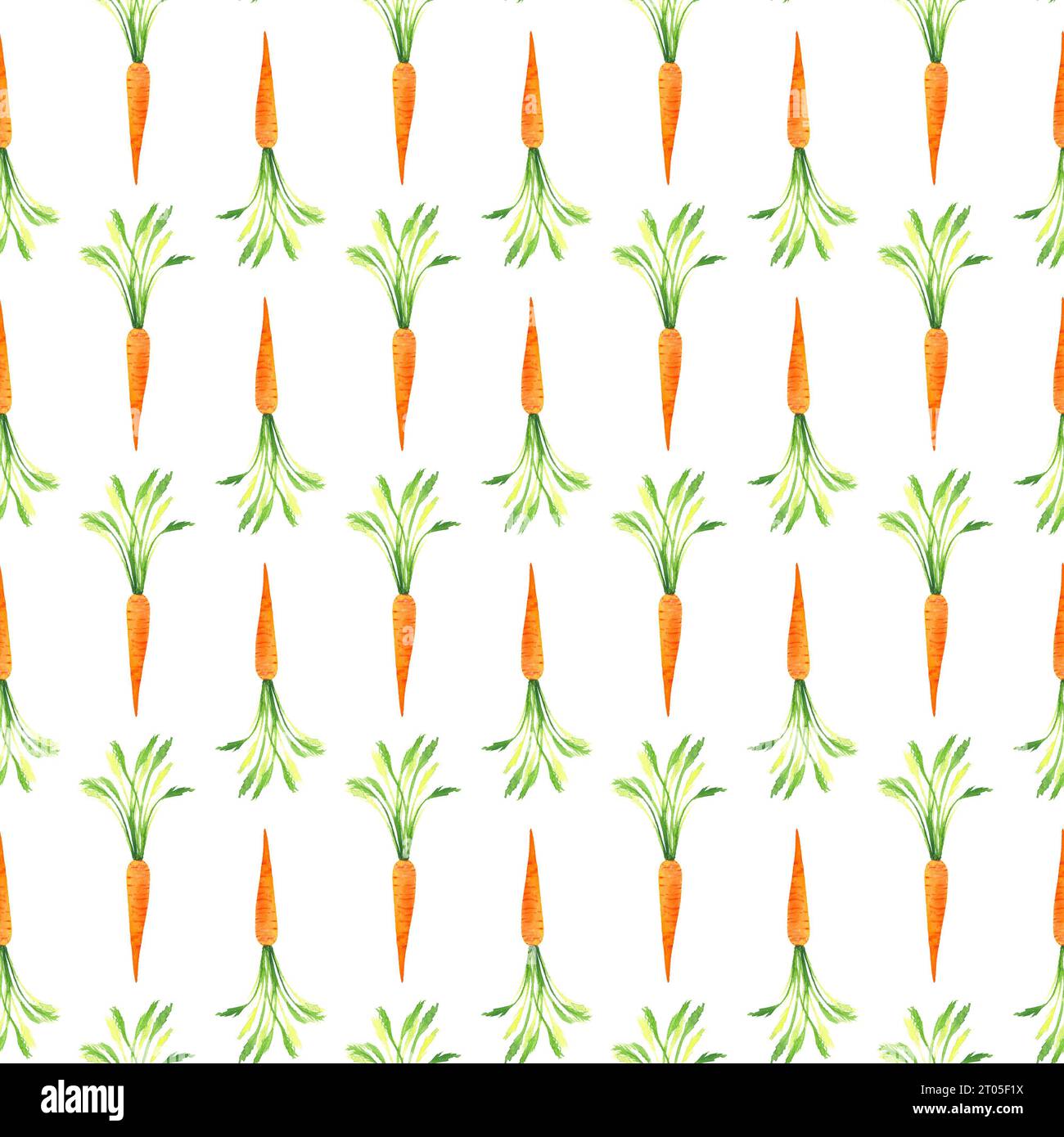 carrot, carrot pattern hand drawn in watercolor, hand drawn, vegetables ...