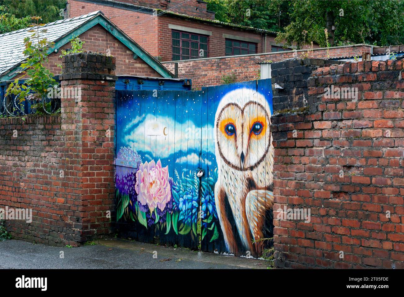 Stockport Street Art Stock Photo - Alamy