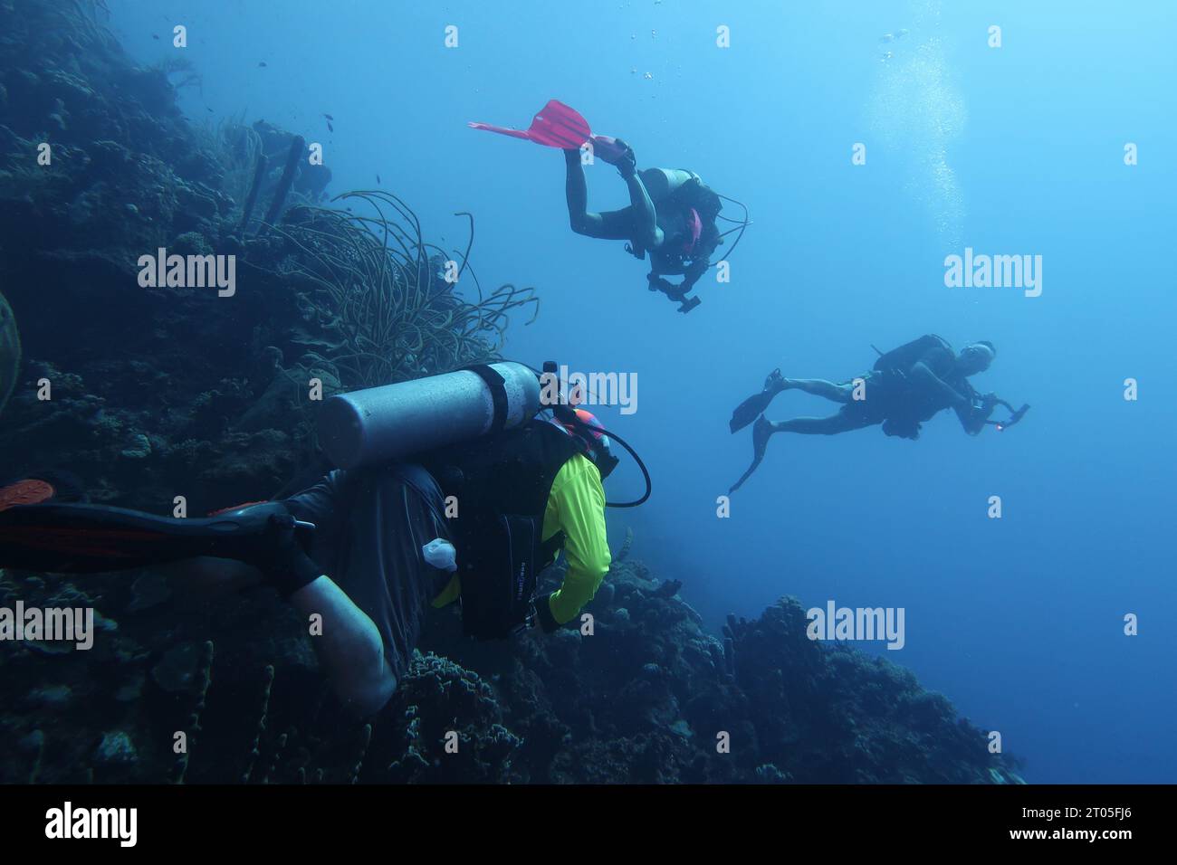 Scuba divers swimming with tanks hi-res stock photography and images ...