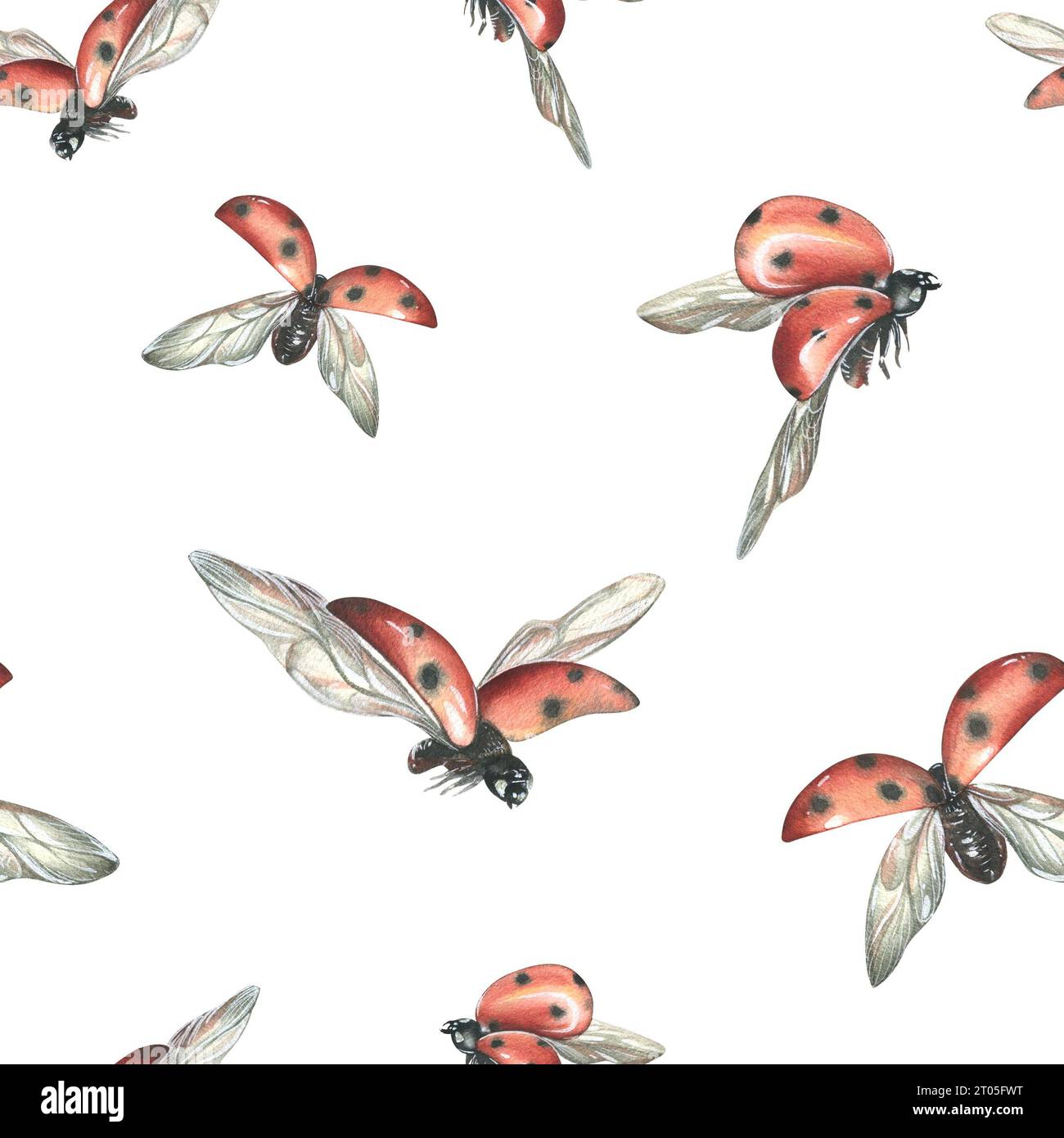 Red ladybugs with black dots flying. Hand drawn watercolor illustration ...