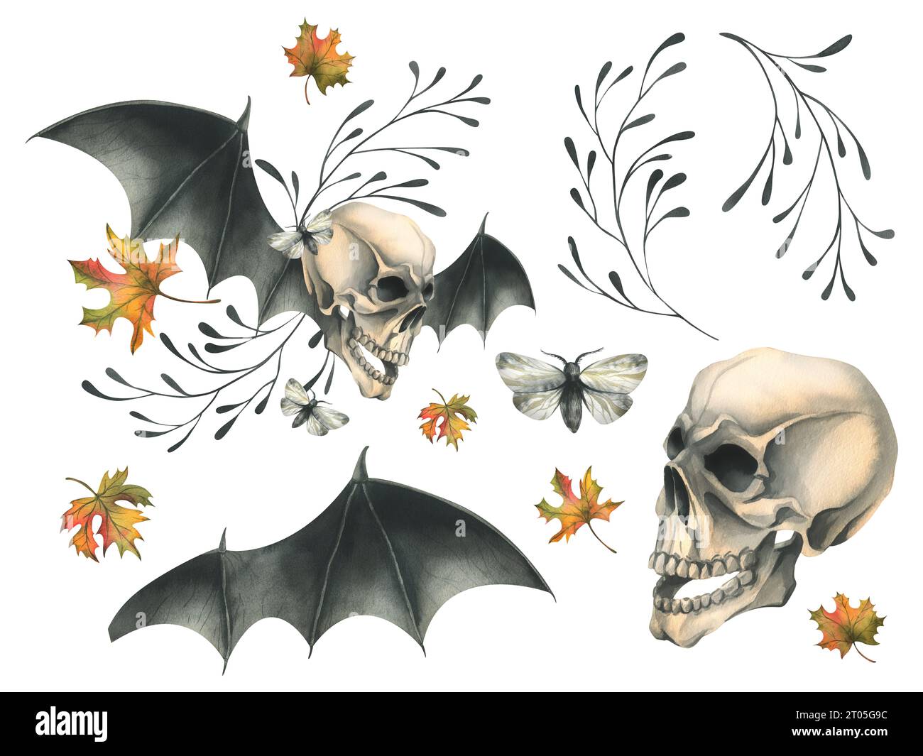Human skull flying with bat wings, night moths and autumn maple leaves ...