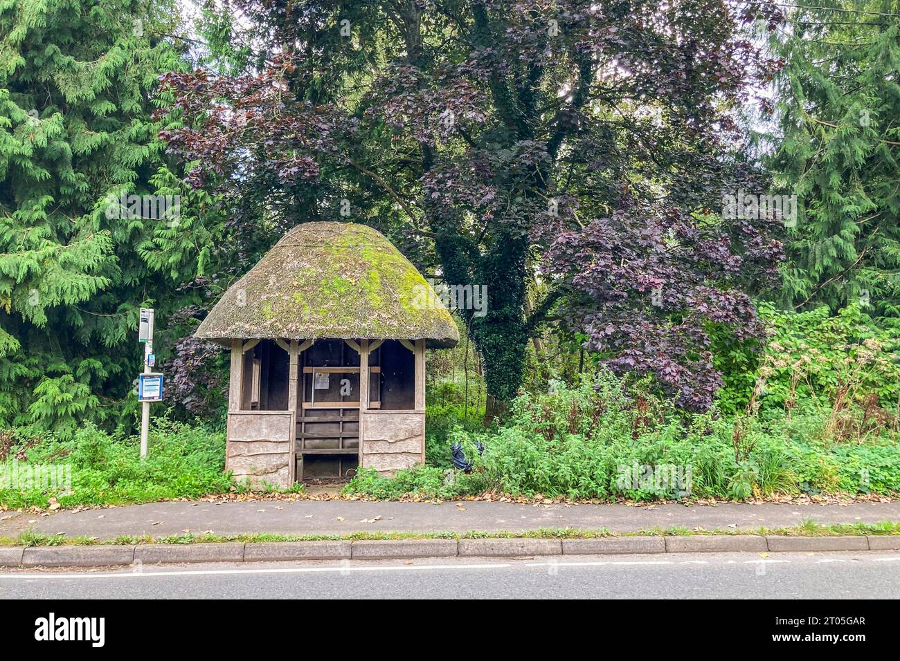 Bus stop in the country road, side. Thatched roof of the little hut ...