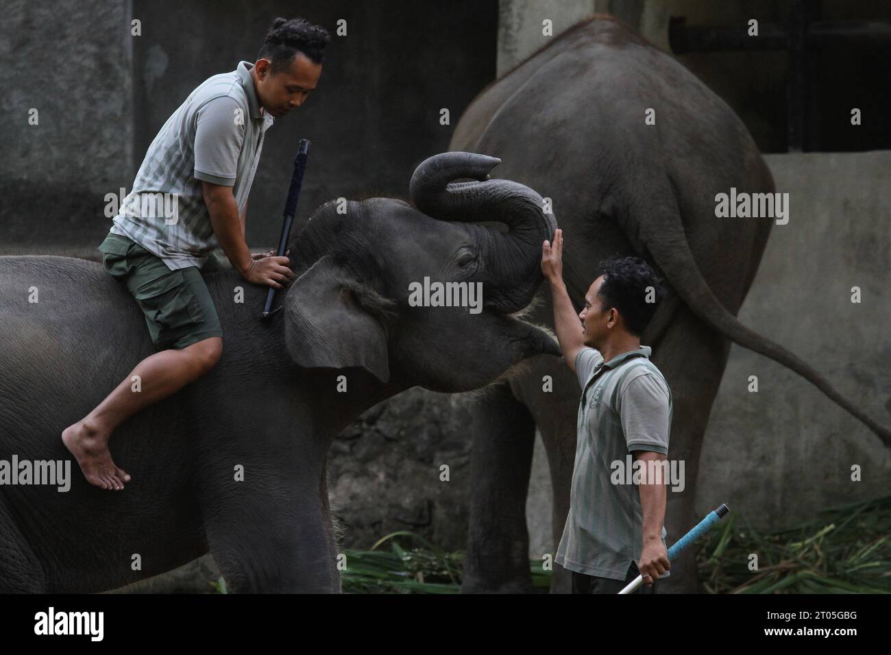 Yogyakarta, Indonesia. October 4, 2023, Yogyakarta, Special Region of ...