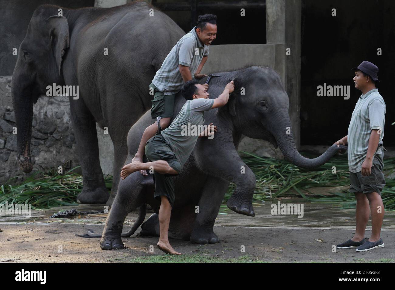 Yogyakarta, Indonesia. October 4, 2023, Yogyakarta, Special Region of ...